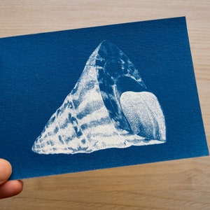 Cyanotype Stencils, Cyanotype Kit Just Stencils, Diy Craft, Cyanotype ...