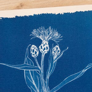Cyanotype Stencils, Cyanotype Kit Just Stencils, Vintage Flowers ...