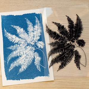 Cyanotype Stencils, Cyanotype Kit Just Stencils, Craft Kit for Adults ...