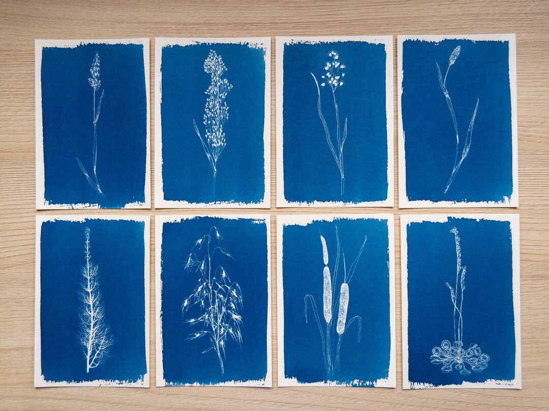 Cyanotype Stencils, Cyanotype Bookmarks, Cyanotype Kit Just Stencils ...