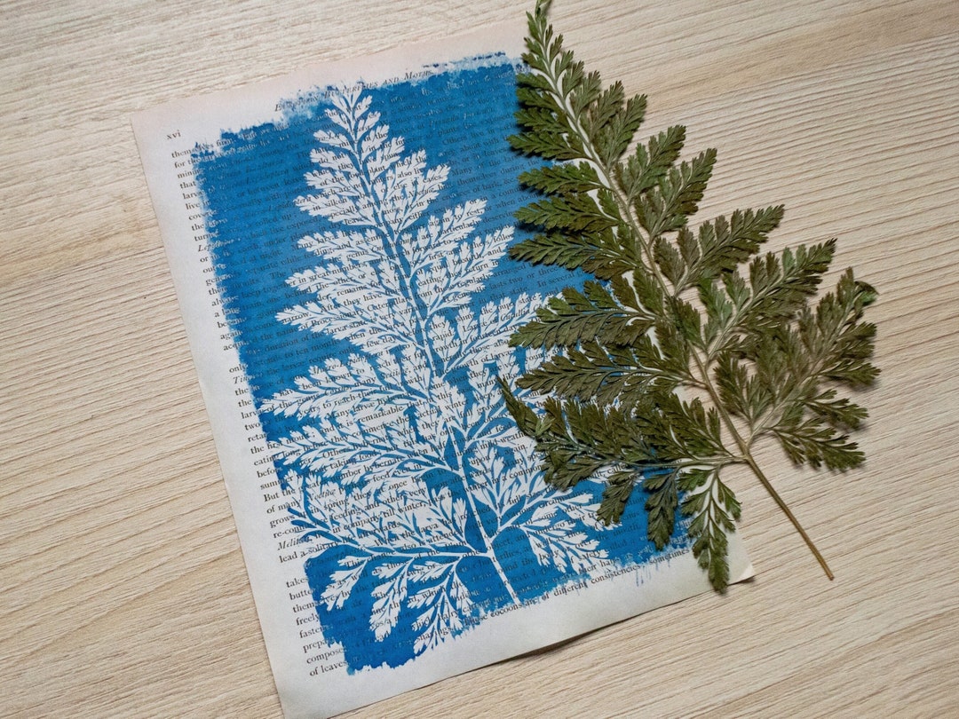 Cyanotype Kit, Cyanotype Book Page, Craft Kit, Diy Craft, Cyanotype ...
