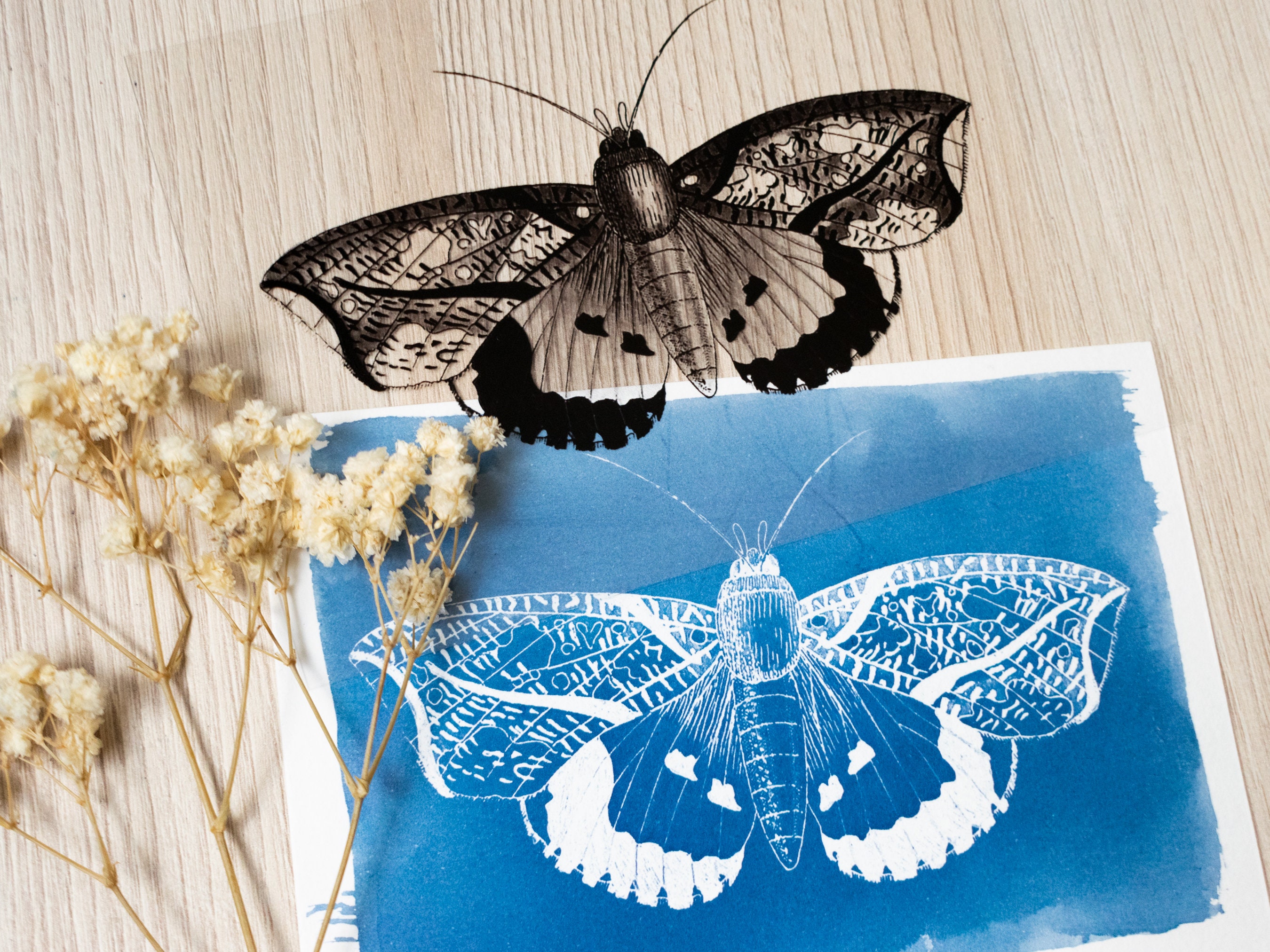 Cyanotype Kit Just Stencils Cyanotype Stencils Butterflies - Etsy