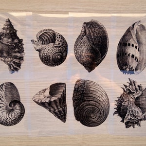 Cyanotype Stencils, Cyanotype Kit Just Stencils, Diy Craft, Cyanotype ...