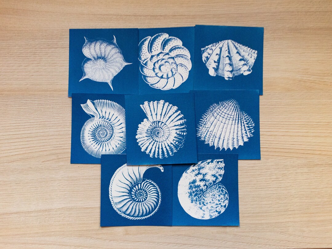 Cyanotype Stencils, Cyanotype Kit Just Stencils, Diy Craft, Cyanotype ...