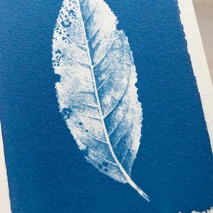 Cyanotype Stencils, Cyanotype Kit Just Stencils, Vintage Leaves ...