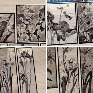 Cyanotype Stencils, Cyanotype Bookmarks, Cyanotype Kit Just Stencils ...