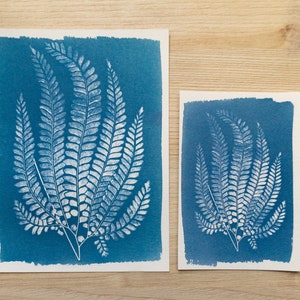Cyanotype Stencils, Cyanotype Kit Just Stencils, Craft Kit for Adults ...