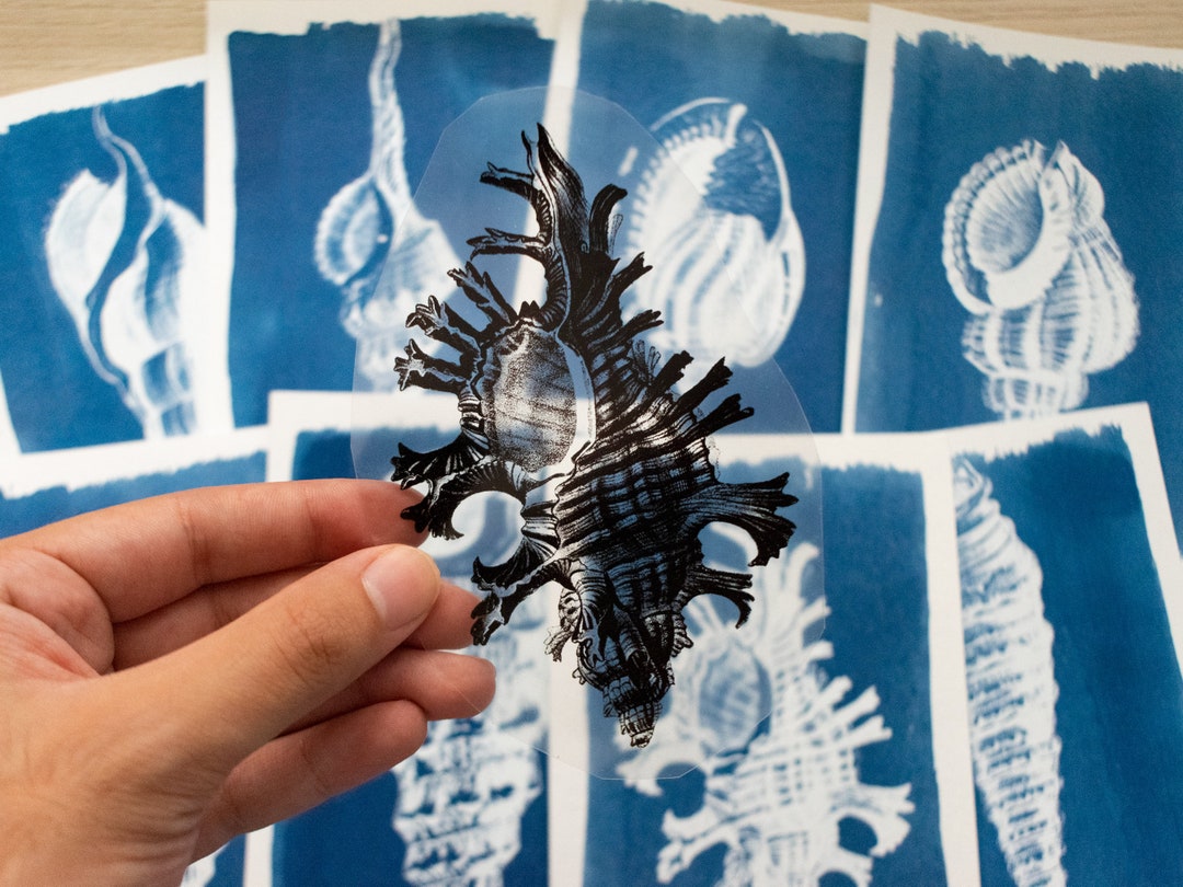 Cyanotype Kit, Cyanotype Stencils, Cyanotype Print, Craft Kit, Diy ...