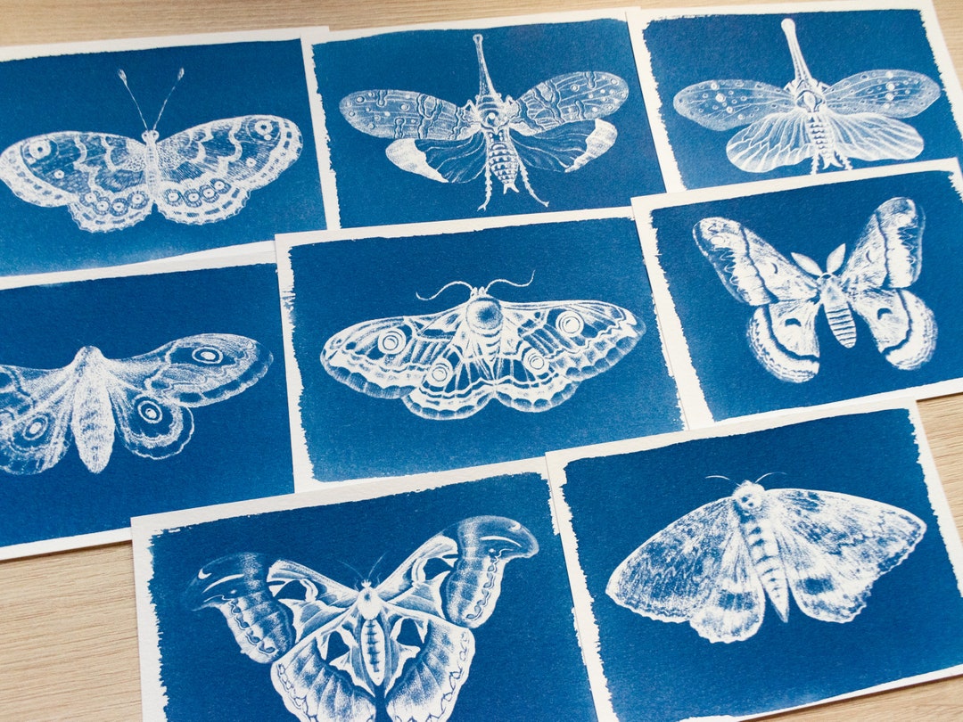 Cyanotype Stencils, Cyanotype Kit Just Stencils, Diy Craft, Cyanotype ...