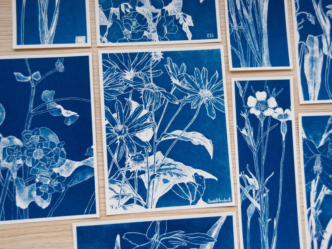 Cyanotype Stencils, Cyanotype Bookmarks, Cyanotype Kit Just Stencils ...