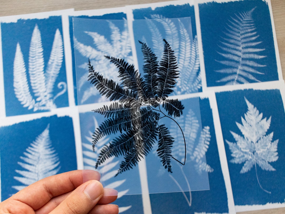 Cyanotype Kit, Solar Printing Kit, Cyanotype Paper, Cyanotype Print ...