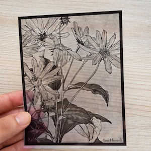 Cyanotype Stencils, Cyanotype Bookmarks, Cyanotype Kit Just Stencils ...