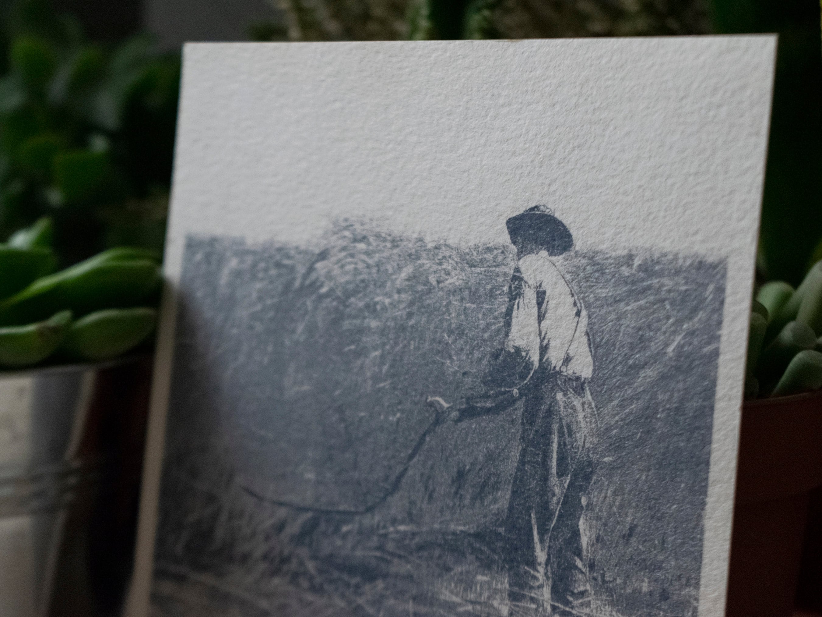 Cyanotype Tutorial PDF | Beginner Sun Print Course With Videos ...