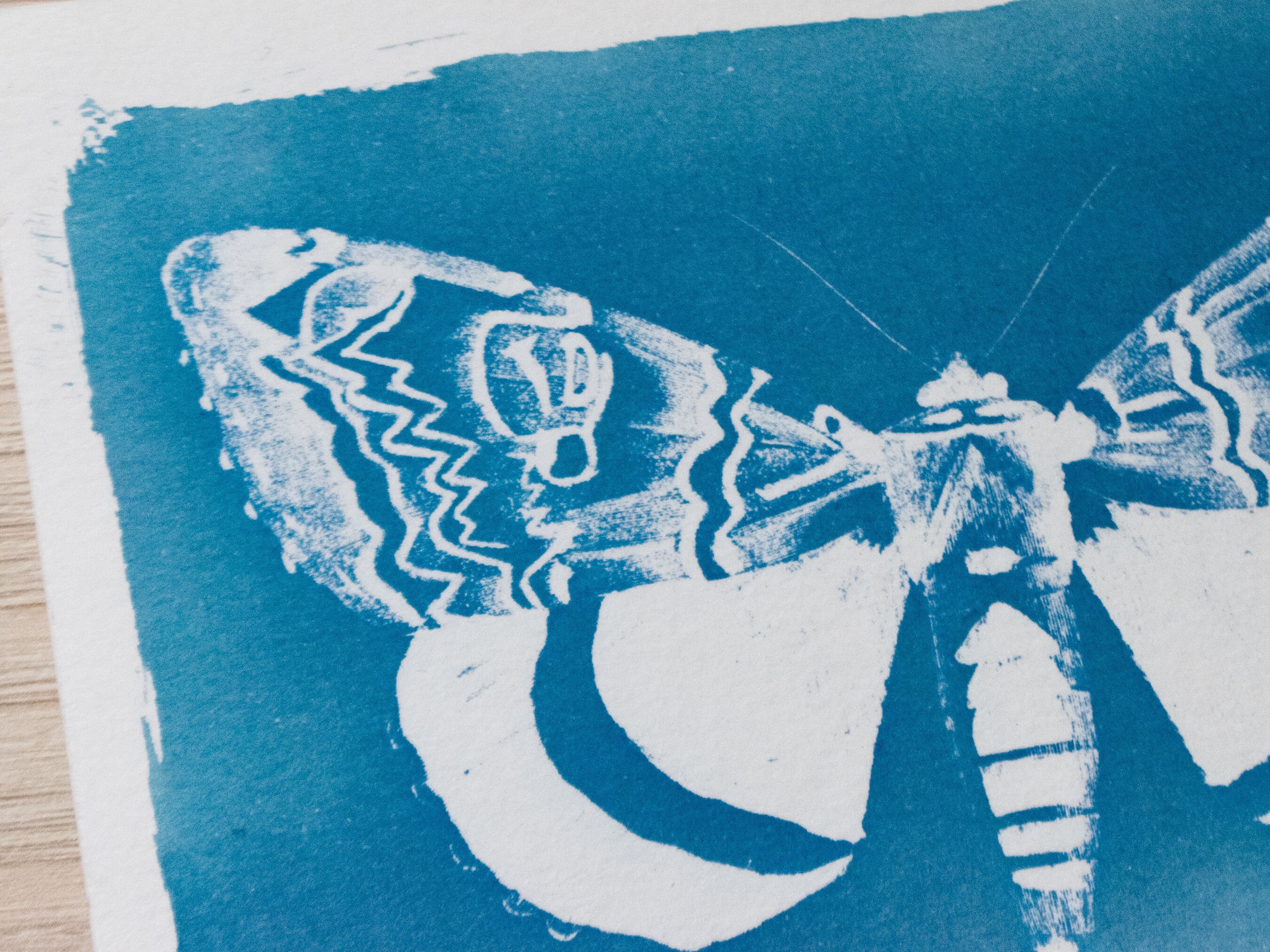Cyanotype Kit Just Stencils Cyanotype Stencils Butterflies - Etsy