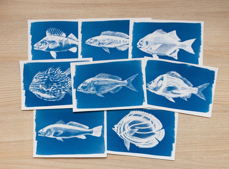 Cyanotype Kit, Craft Kit for Adults, Solar Printing Kit, Diy Craft, Diy ...