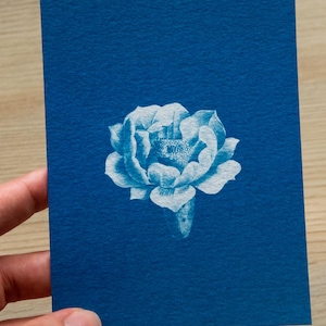 Cyanotype Stencils, Cyanotype Kit Just Stencils, Pressed Flowers ...