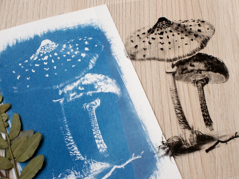 Cyanotype Kit, Cyanotype Stencils, Cyanotype Print, Solar Art, Craft ...