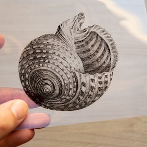 Cyanotype Stencils, Cyanotype Kit Just Stencils, Diy Craft, Cyanotype ...