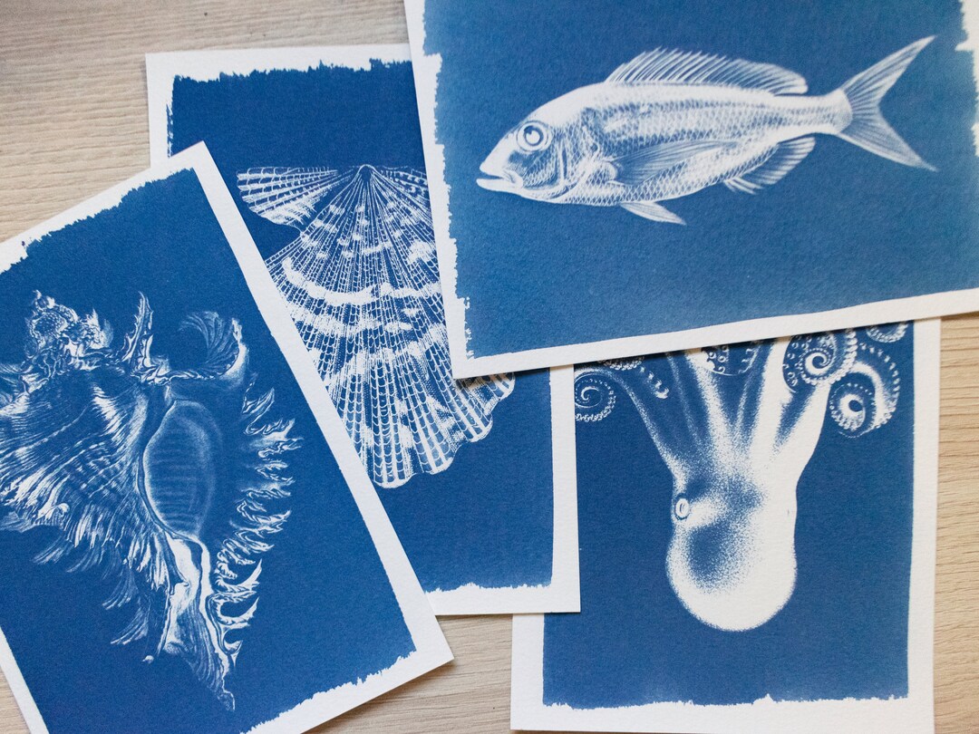 Cyanotype Stencils, Diy Craft, Cyanotype Kit Just Stencils, Cyanotype ...