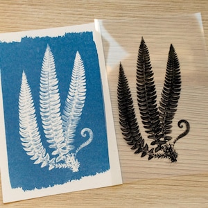 Cyanotype Stencils, Cyanotype Kit Just Stencils, Craft Kit for Adults ...
