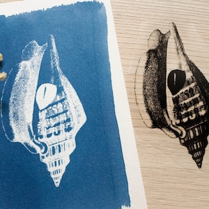 Cyanotype Stencils, Diy Craft, Cyanotype Kit Just Stencils, Cyanotype ...