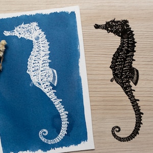 Ocean Life Cyanotype Kit With Paper | Octopus Seahorse Jellyfish Solar ...