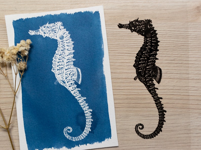Ocean Life Cyanotype Kit With Paper | Octopus Seahorse Jellyfish Solar ...