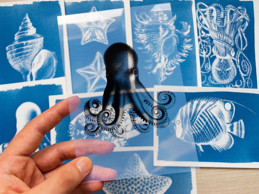 Cyanotype Kit, Cyanotype Stencils, Diy Craft, Craft Kit for Adults ...