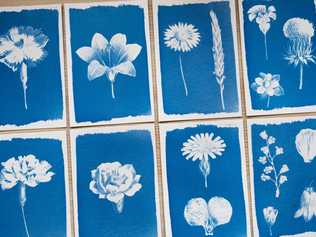 Cyanotype Stencils, Cyanotype Kit Just Stencils, Pressed Flowers ...