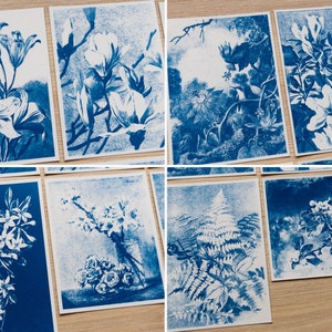 Cyanotype Stencils, Cyanotype Kit Just Stencils, Diy Crafts, Cyanotype ...