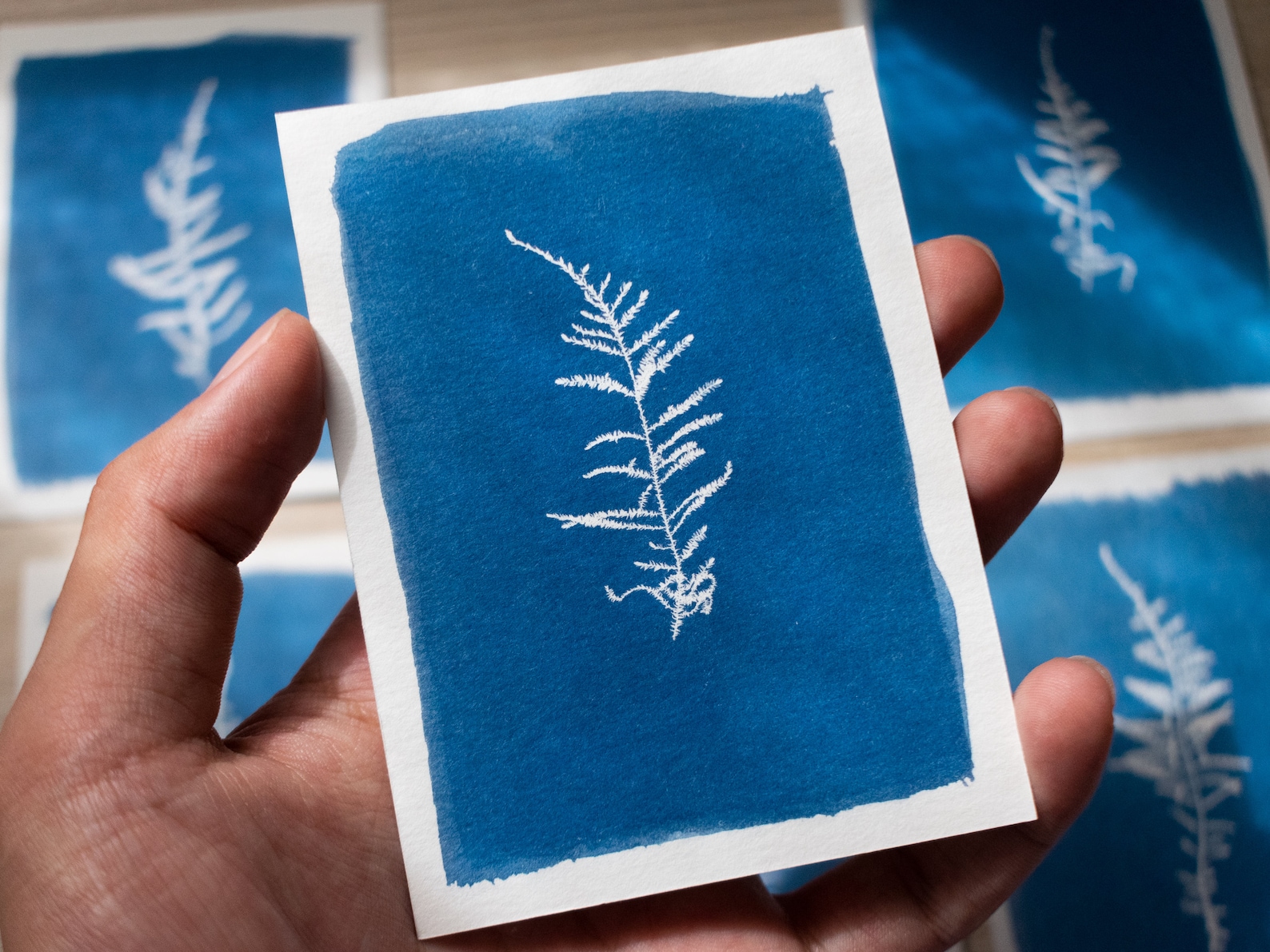 Cyanotype Tutorial PDF | Beginner Sun Print Course With Videos ...