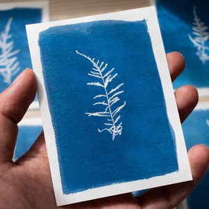 Cyanotype Tutorial, Cyanotype Course, Learn Cyanotype, Diy Craft ...