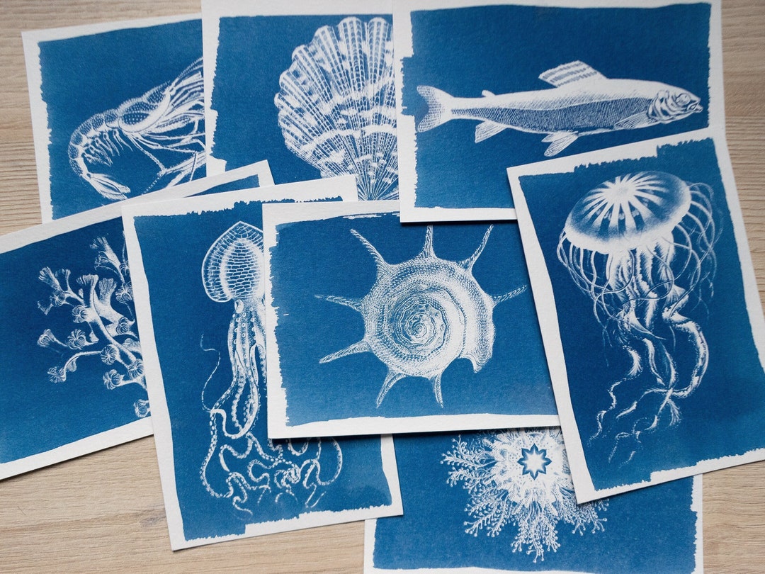 Cyanotype Stencils, Diy Craft, Cyanotype Kit Just Stencils, Cyanotype ...