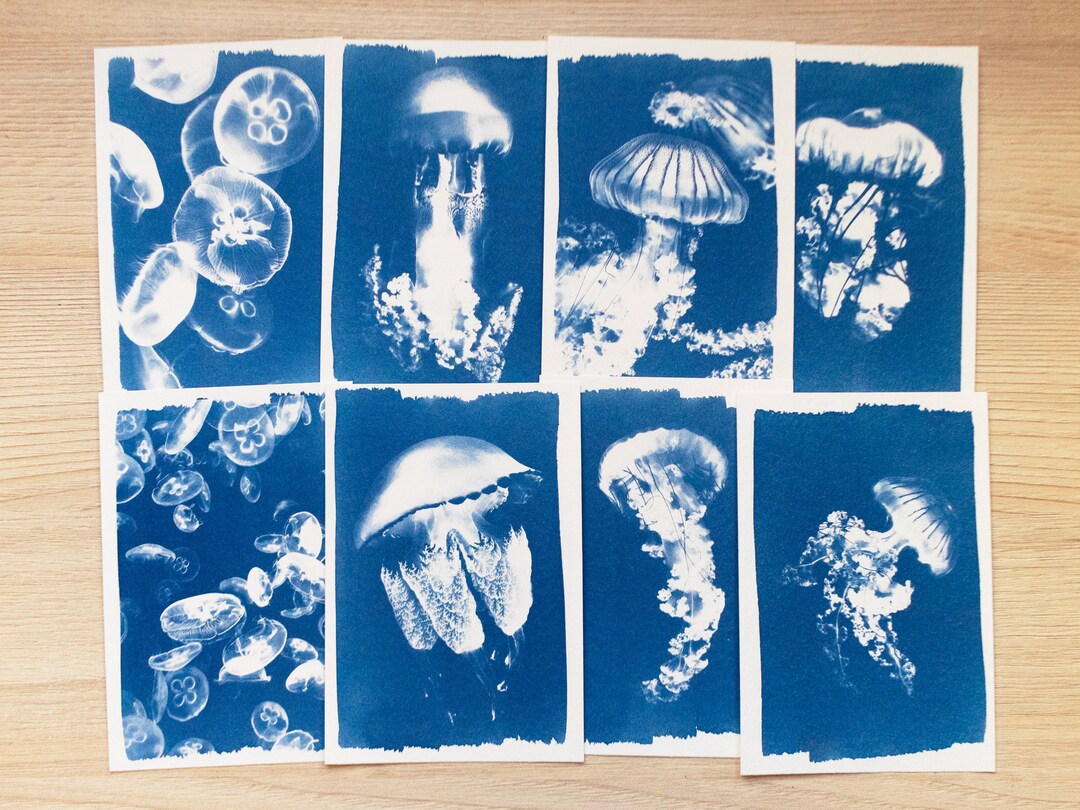 Cyanotype Stencils, Diy Craft, Cyanotype Kit Just Stencils, Cyanotype ...