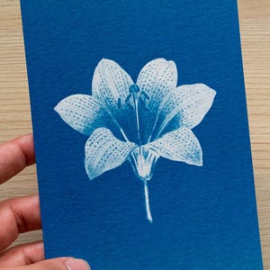 Cyanotype Stencils, Cyanotype Kit Just Stencils, Pressed Flowers ...
