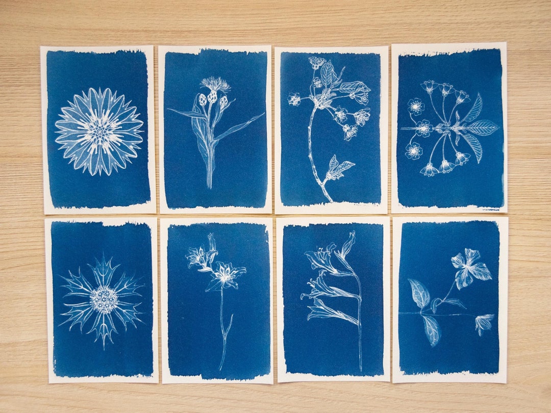 Cyanotype Stencils, Cyanotype Kit Just Stencils, Vintage Flowers ...