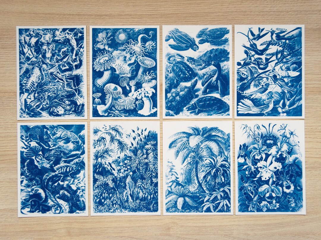 Cyanotype Stencils, Cyanotype Kit Just Stencils, Cyanotype Print, Diy ...