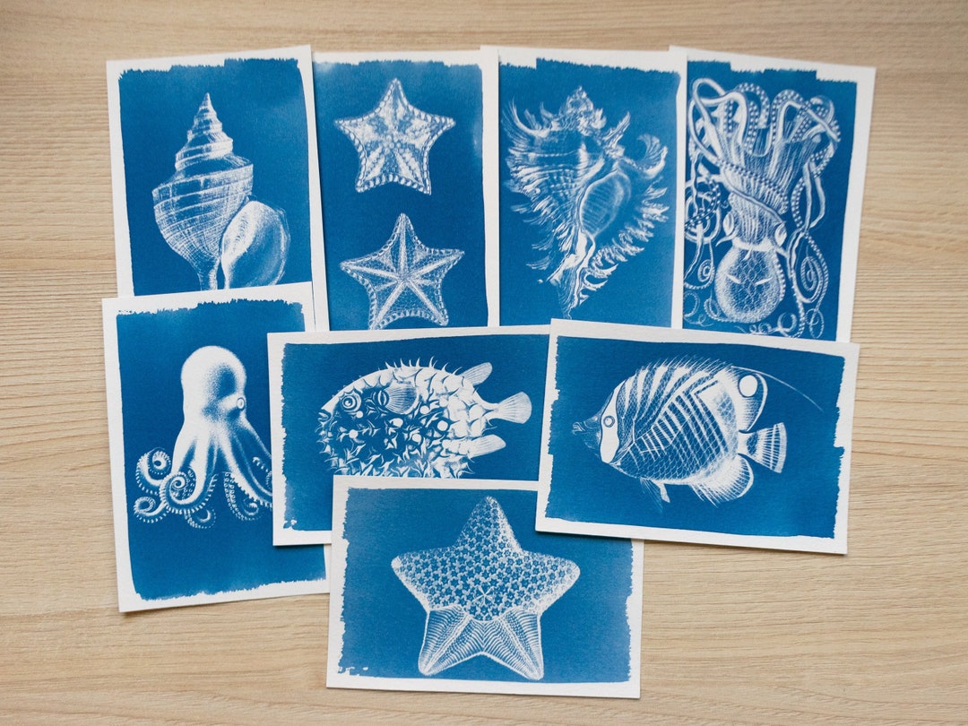 Cyanotype Stencils, Diy Craft, Cyanotype Kit Just Stencils, Cyanotype ...