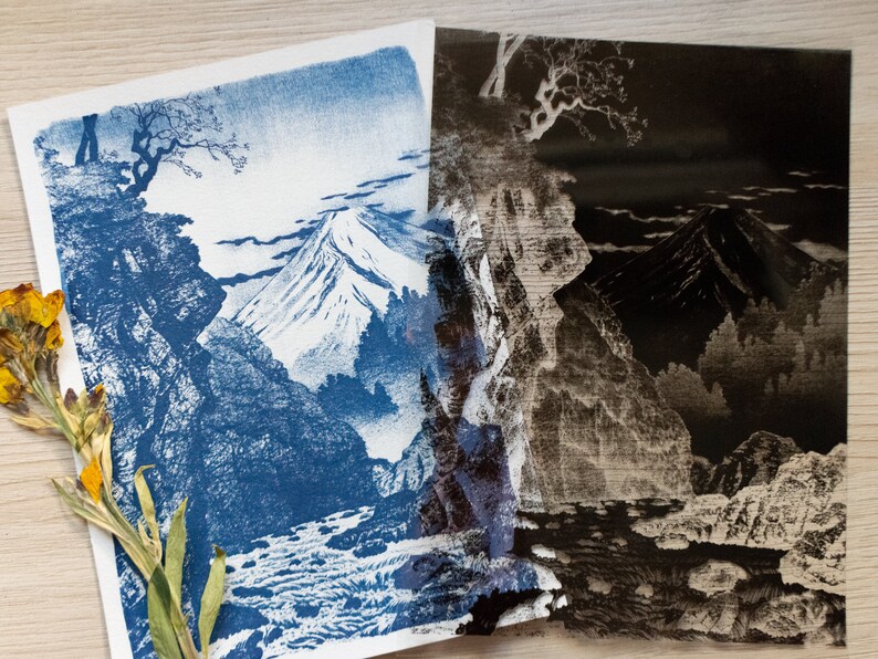 Cyanotype Kit Just Stencils Cyanotype Print Photo Negatives - Etsy