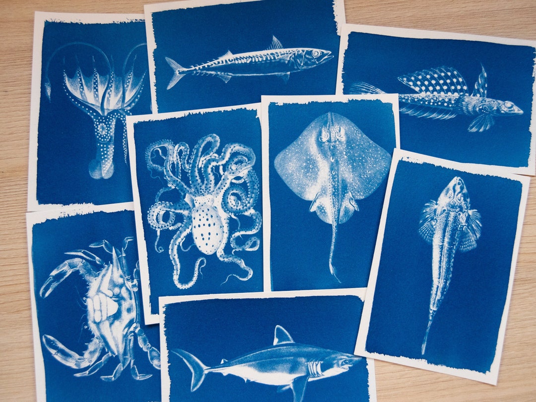 Cyanotype Stencils, Cyanotype Kit Just Stencils, Sea Creature Cyanotype ...