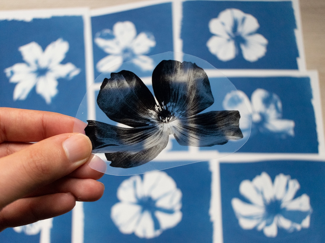 Cyanotype Kit, Craft Kit for Adults, Cyanotype Stencil, Solar Printing ...