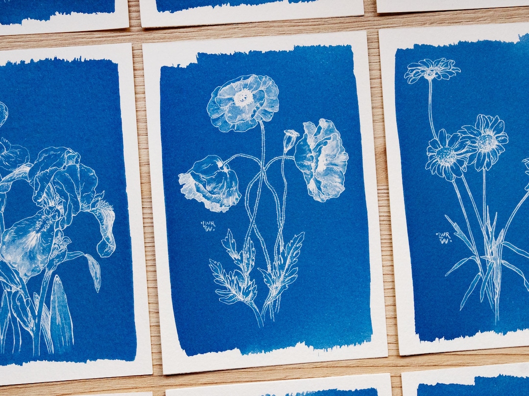 Cyanotype Stencils, Cyanotype Kit Just Stencils, Flowers Cyanotype ...