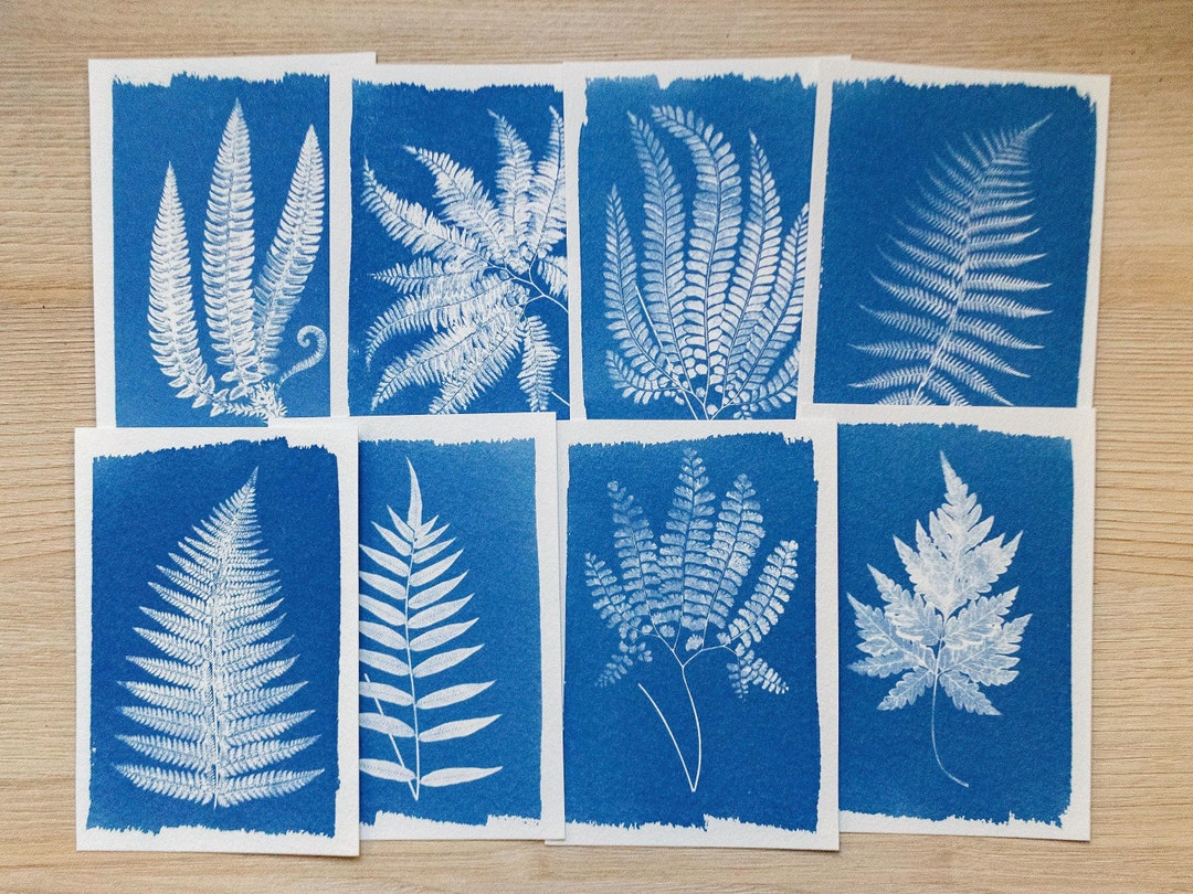Cyanotype Stencils, Cyanotype Kit Just Stencils, Craft Kit for Adults ...