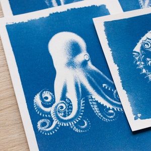 Cyanotype Kit, Cyanotype Stencils, Diy Craft, Craft Kit for Adults ...