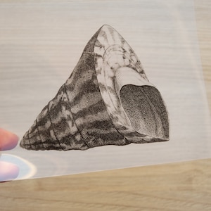 Cyanotype Stencils, Cyanotype Kit Just Stencils, Diy Craft, Cyanotype ...