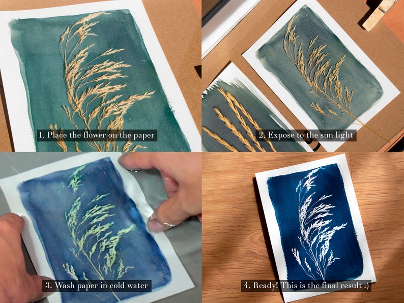 Ocean Life Cyanotype Kit With Paper | Octopus Seahorse Jellyfish Solar ...
