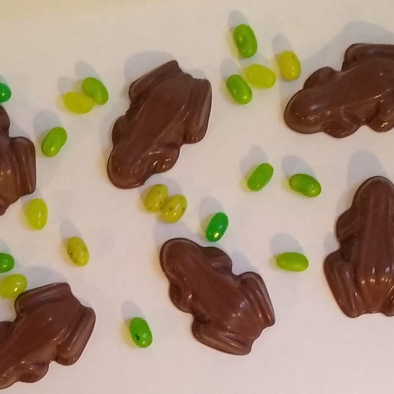 Chocolate Frog - Etsy