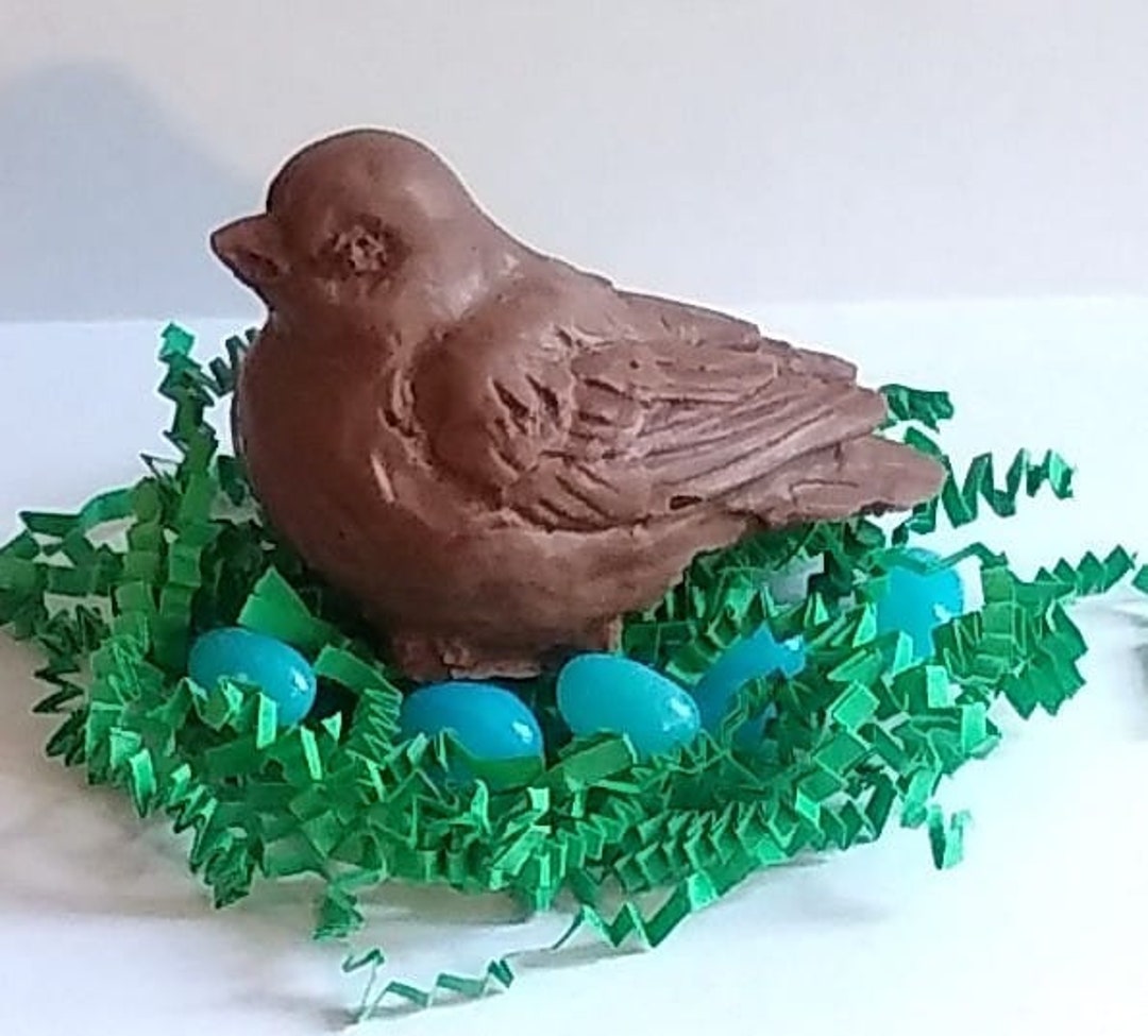 Our Solid Chocolate Robin. One of the First Signs of Spring! - Etsy