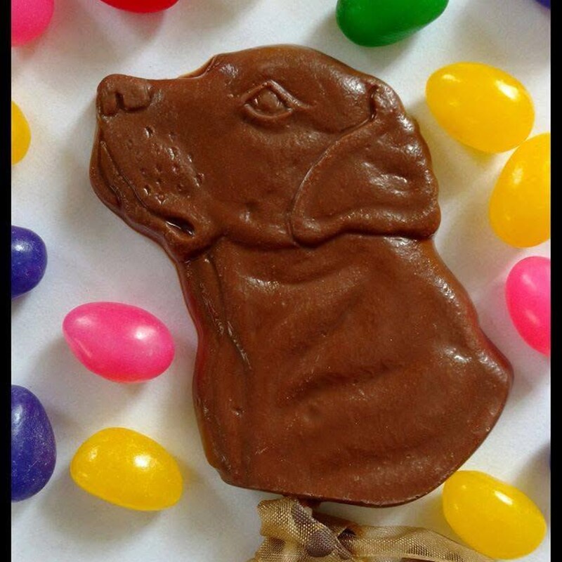 Chocolate Pops - Etsy