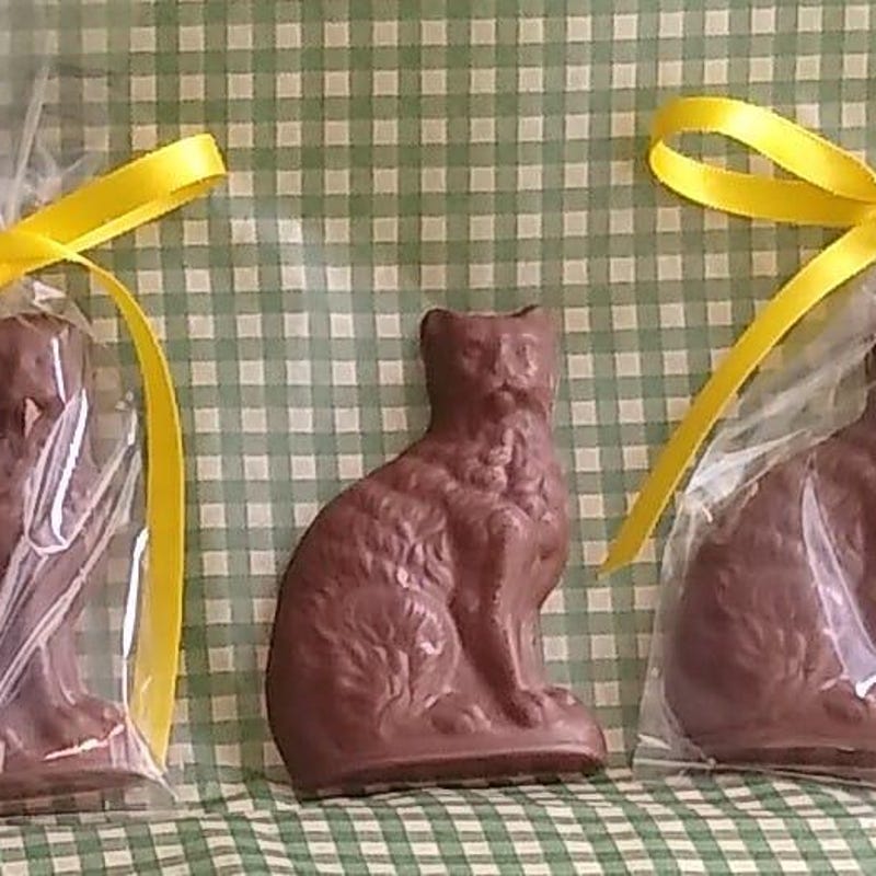 Chocolate Cat Candy - Etsy